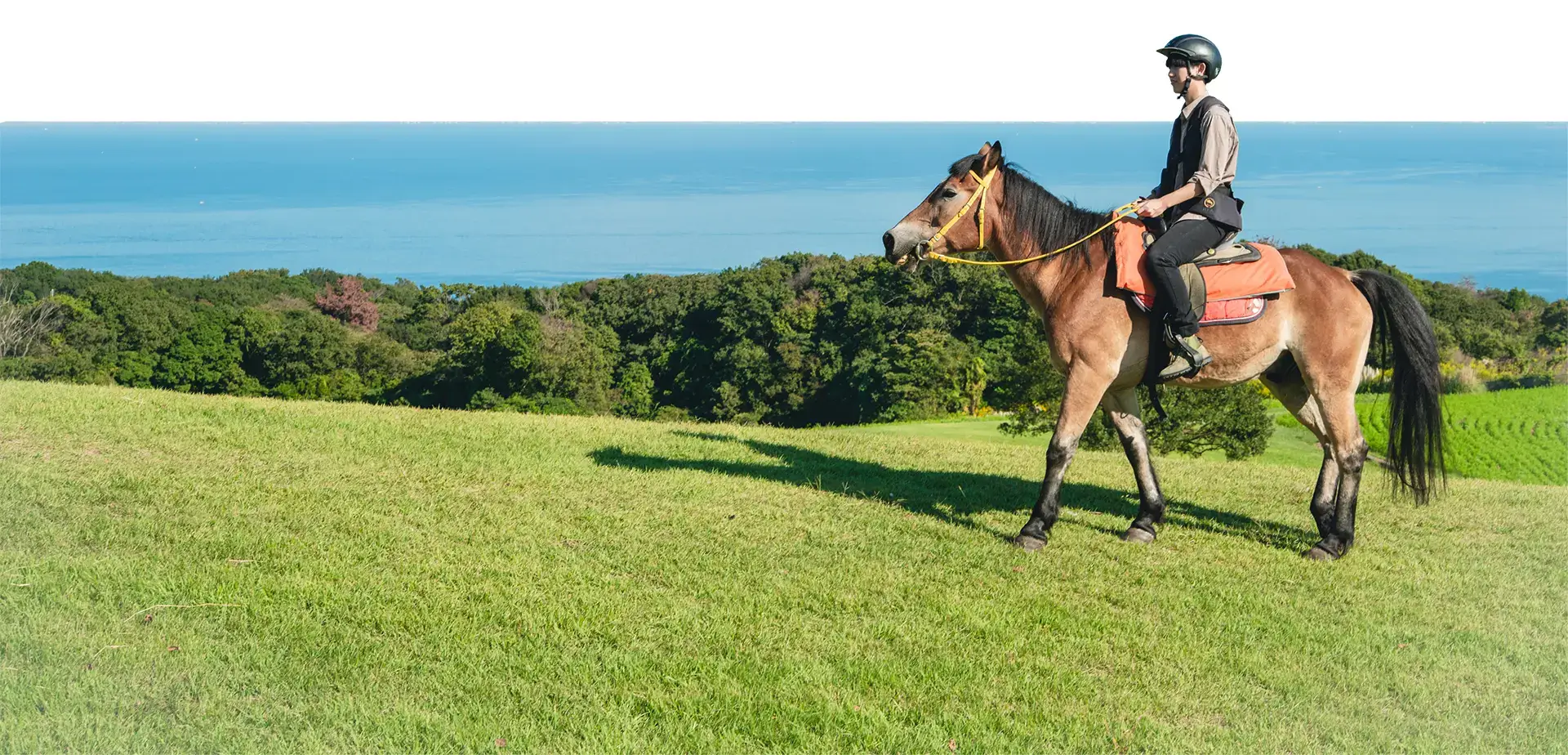 inexp-course - 乗馬クラブハーモニーワールド